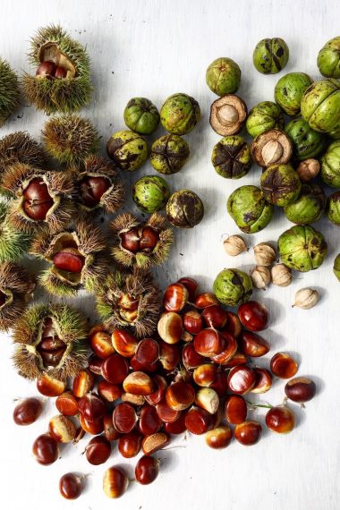 homemade chestnut spread—two gifts in one - In Jennie's Kitchen